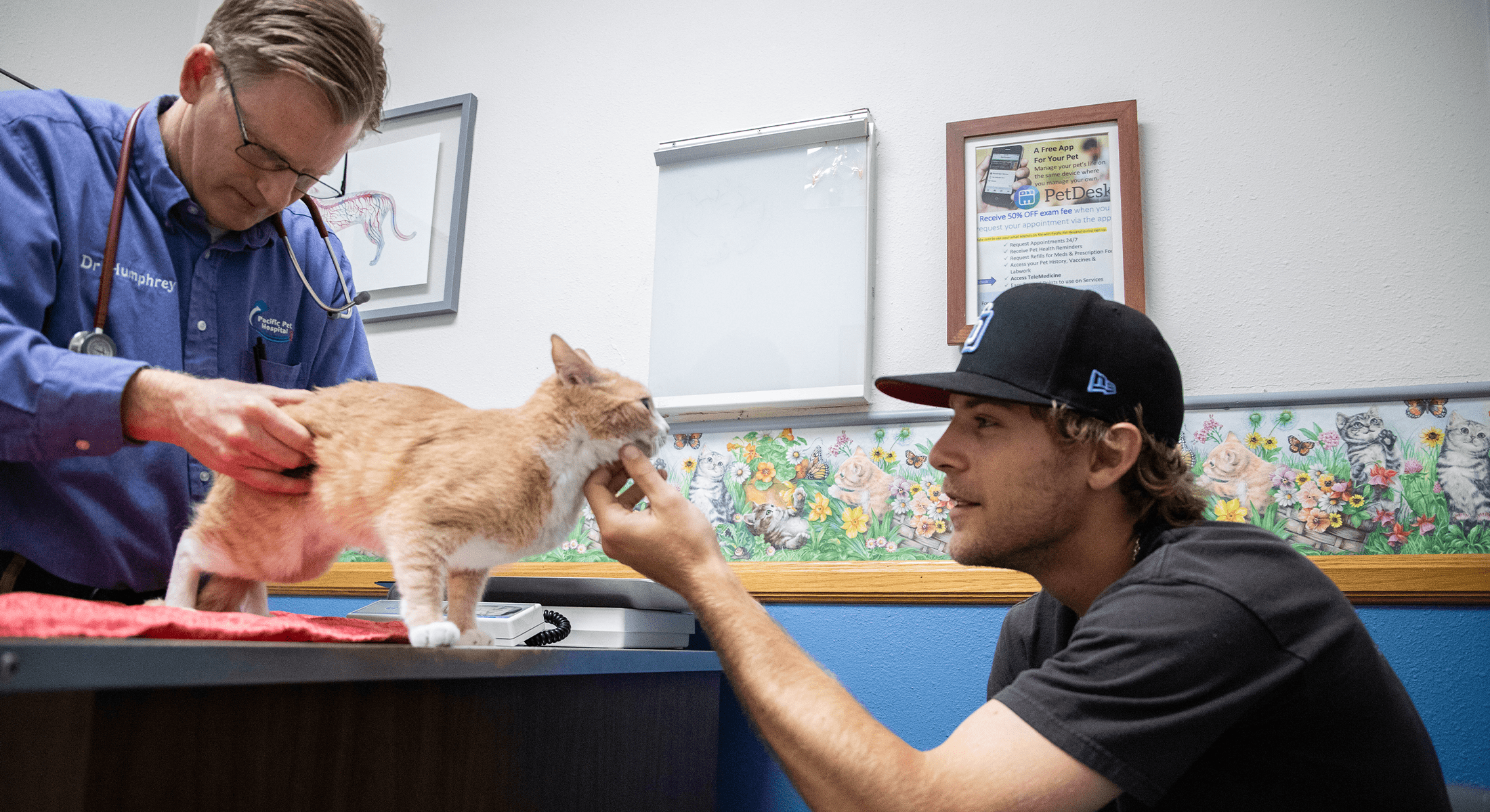 Introducing PetDesk Scribe